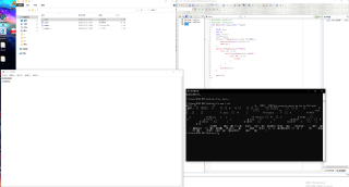This program cannot be run in DOS mode_编程语言-CSDN问答